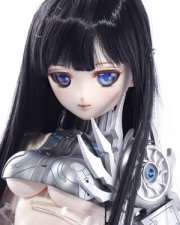 2D Doll : Alice's Collections